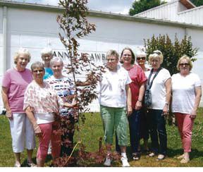 Tree planted at library in memory of Joy Harris – The Randolph Leader